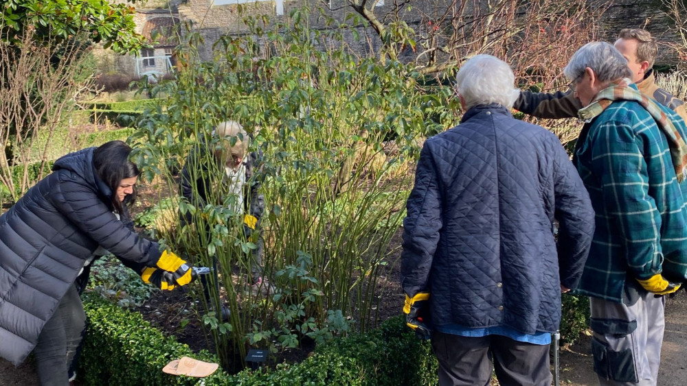 Rose Pruning Workshop | Miscellaneous | News | Wells Nub News | by Guest